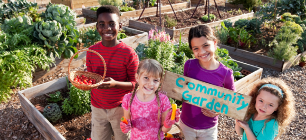 NSW applications for My Community Project closes May 15 - Smarter ...